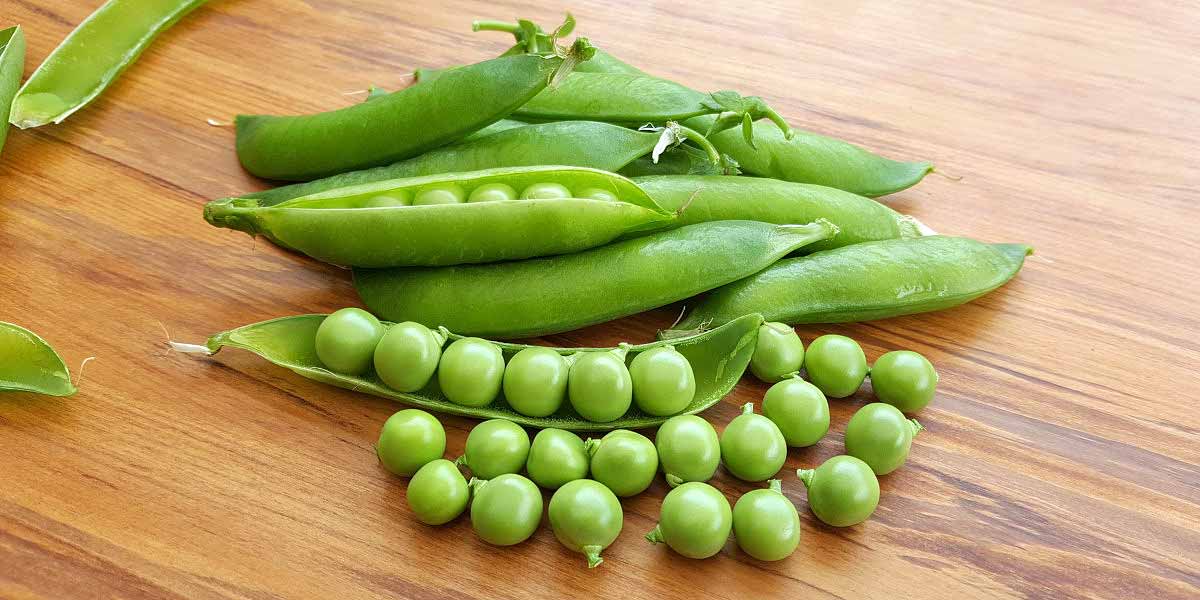 Making the most of Autumn in your Garden – Grow Yours