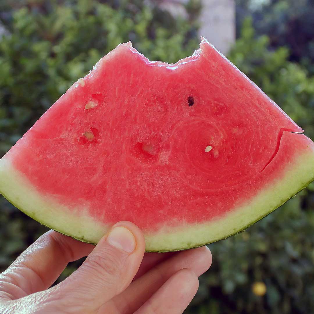 Fruit Seeds – Grow Yours