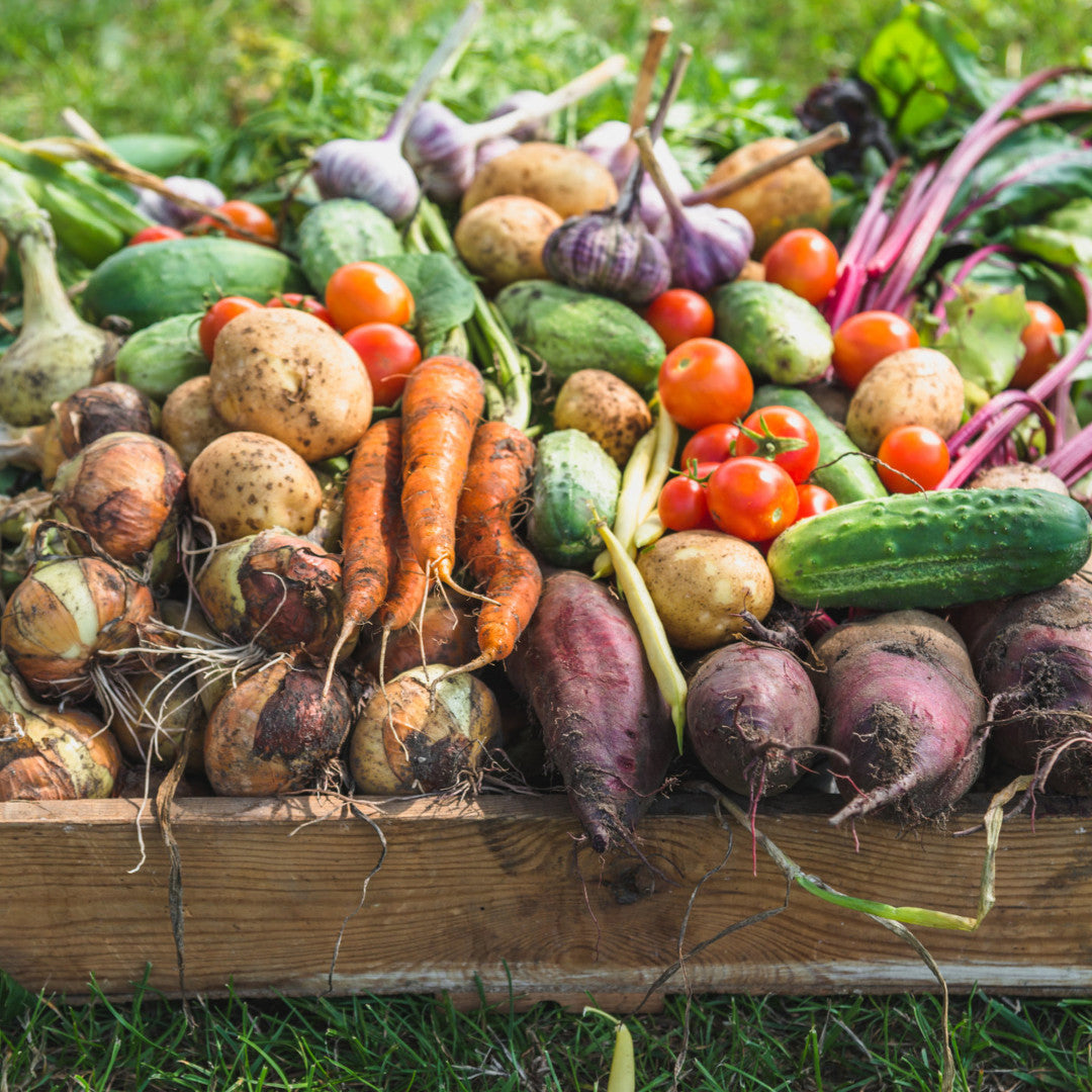 Premium Heirloom Seeds NZ - Buy Heirloom Vegetable & Flower Seeds ...