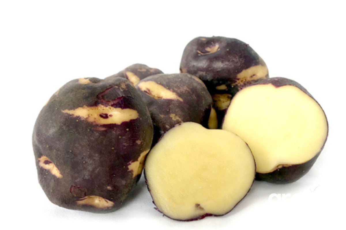 Māori Potato ‘Karuparera’ - Seed Potatoes NZ – Grow Yours